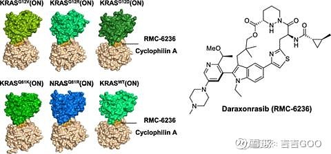 全球Pan-KRAS抑制剂研究进展整理-挑战癌王 KRAS是癌症中常见突变基因之一，发生在约25%的癌症患者中，长久以来KRAS都被认为是 ...