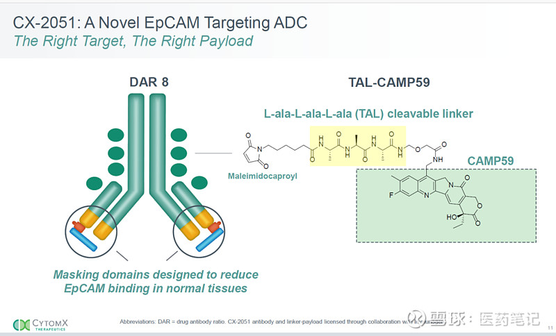 Cytomx大涨130%：EpCAM ADC末线结直肠癌获得优异疗效 Armstrong 2025年5月12日，前抗体先驱Cytomx ...