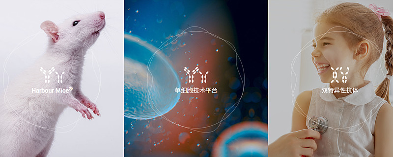 铂医药Harbour Mice技术平台市场前景与竞争格局分析 本报告旨在对 和铂医药 (Harbour BioMed， HKEX：02142 ...