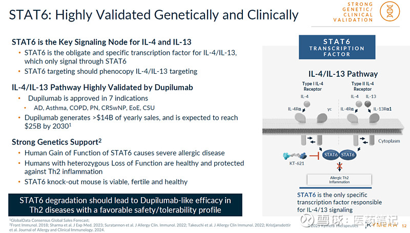 Kymera大涨46%：公布STAT6 PROTAC一期临床数据 Armstrong 2025年6月2日， Kymera ...