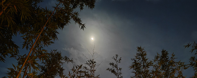 IXM（埃森柯）：一个奇怪的存在 2018年12月4日， 洛阳钼业 以4.95亿美元约34亿人民币的代价，从自然资源基金手中，收购IXM（埃森 ...