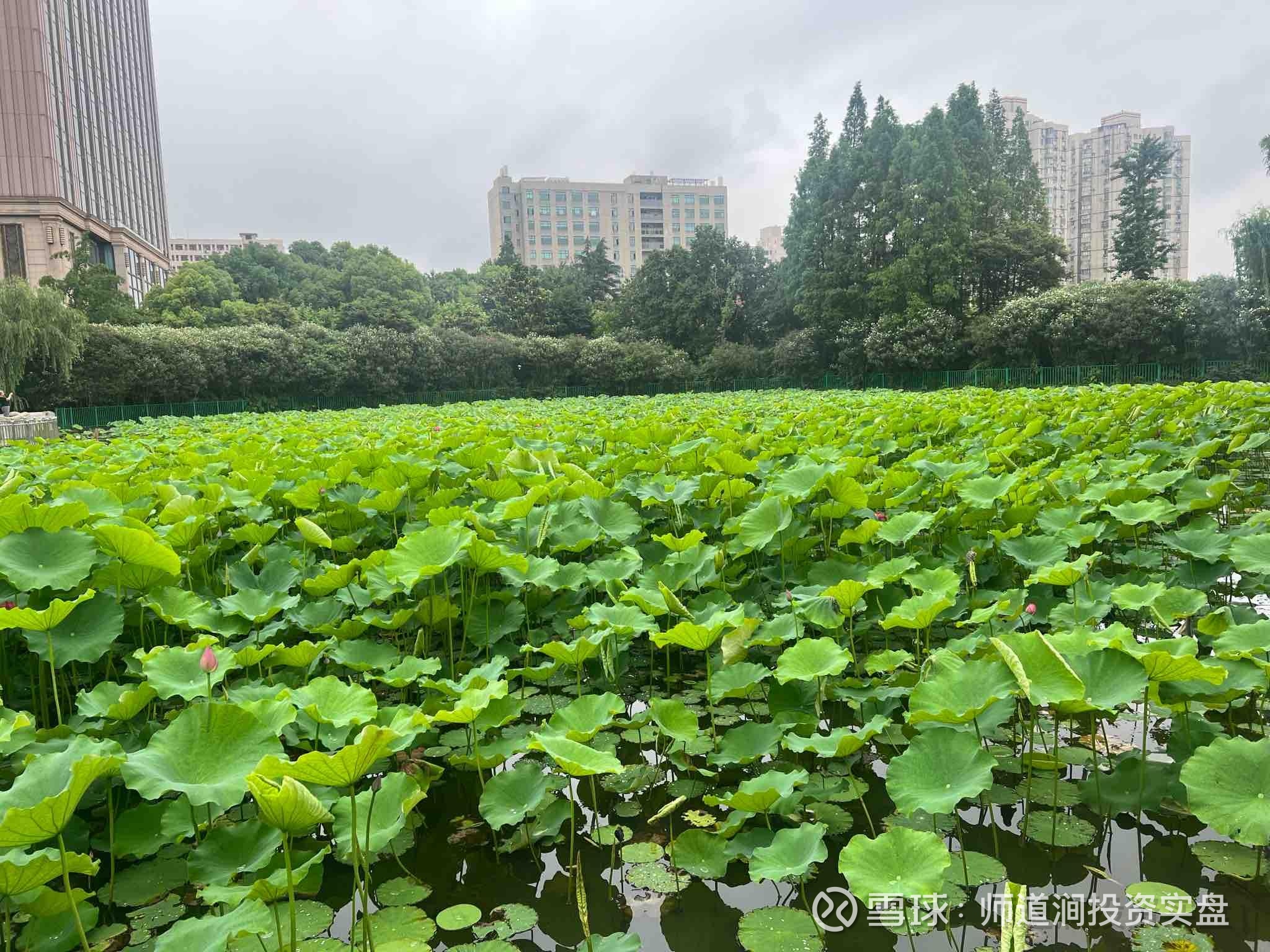 $仟源医药(SZ300254)$ 民族脊梁的依托，国人精神的重塑————十倍蓝海拉开大幕。$创新药(BK2526)$目前... - 雪球