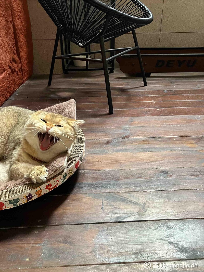 $腾讯控股(00700)$ $泸州老窖(SZ000568)$ $小米集团-W(01810)$ 最近火出圈的《藏海传》不知... - 雪球