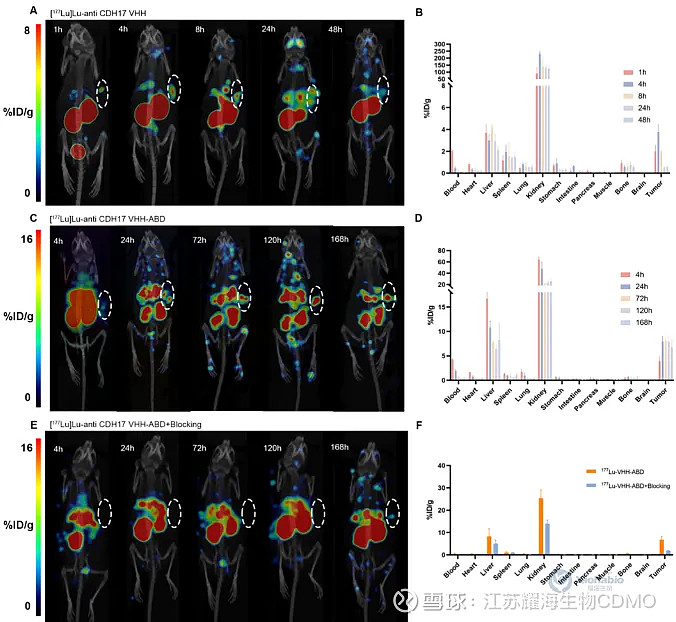 纳抗前沿 | ¹⁷⁷Lu标记的抗CDH17 VHH-ABD极具临床潜力 钙粘蛋白17(Cadherin-17, CDH17)在消化系统癌症中 ...