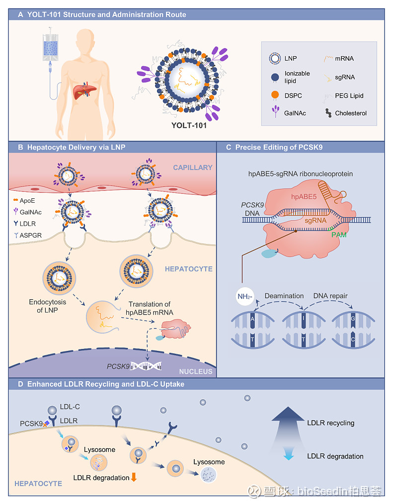 当MNC入局基因编辑，这家Biotech手握中国答案 作为 全球制药 巨头在基因编辑领域的最新押注，此次收购不仅印证了体内基因编辑技术的临床价值正获主流认可，也折射出中国基因... - 雪球