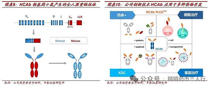 HCAb Harbour Mice：稀缺人源化仅重联抗体平台 $和铂医药-B(02142)$ 公司利用Harbour Mice®转基因小鼠平台 ...