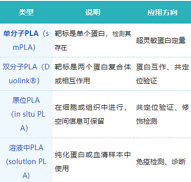 PLA技术看点：连接之中，放大信号 PLAProximity Ligation Assay，邻近连接扩增技术是一种高度敏感和特异的蛋白检测方法 ...