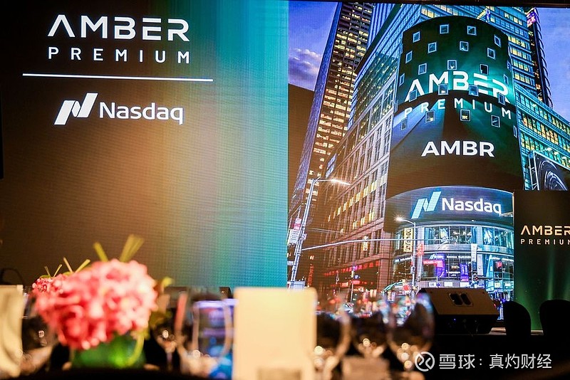 Amber International 完成 2,550 万美元战略融资，加速拓展美国和东南亚机构级加密金融服务 纳斯达克 上市公司 ...