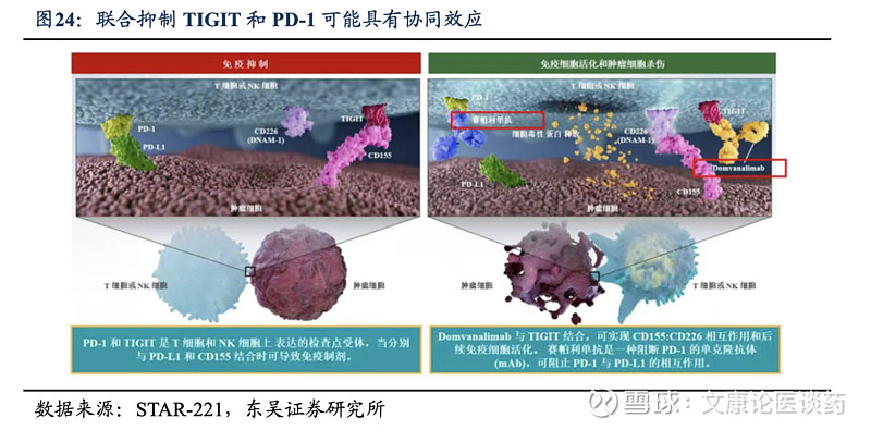 【东吴医药】泽璟制药：创新进入收获期，ZG006及ZG005均有望成为BIC 投资要点 ZG006（CD3/DLL3/DLL3）疗效数据优异，打造小细胞肺癌基石疗法。ZG006为结构新颖的 ...