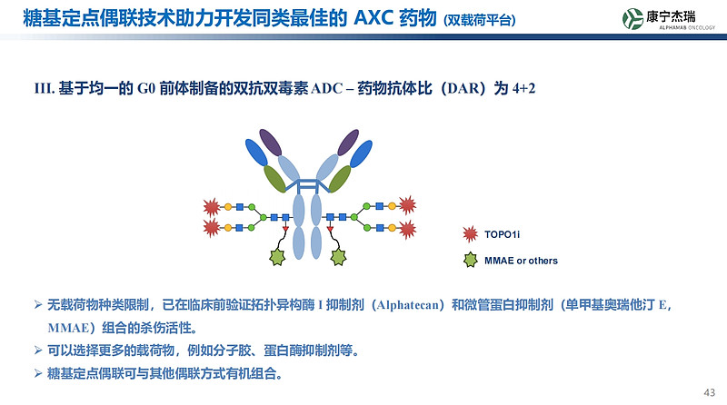 初步谈谈康宁杰瑞双抗ADC升级路径 $康宁杰瑞制药-B(09966)$ 这里只说康宁杰瑞的双抗ADC升级路径，而不是单抗ADC，在我眼中，如果现在还在做单抗... - 雪球