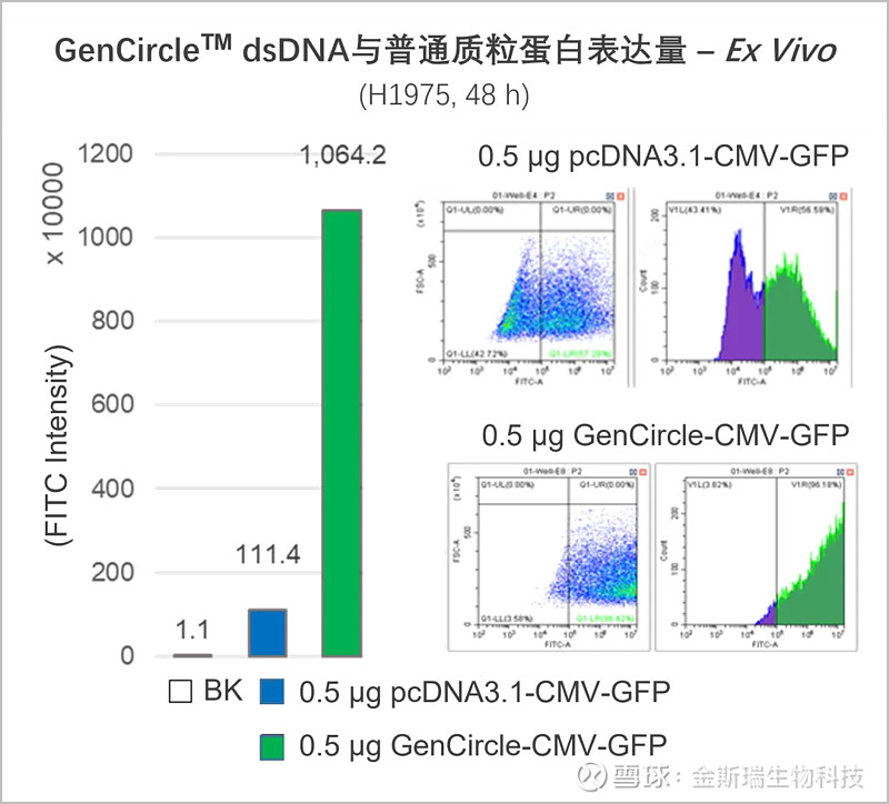 金斯瑞GenCircle dsDNA获发明专利授权！更安全高效的基因递送方案，加速GCT开发 $金斯瑞生物科技(01548)$基因与细胞疗法 ...