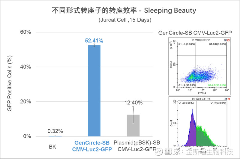 金斯瑞GenCircle dsDNA获发明专利授权！更安全高效的基因递送方案，加速GCT开发 $金斯瑞生物科技(01548)$基因与细胞疗法（GCT）作为医药领域发展迅猛的新星，科学家们也在为 ...