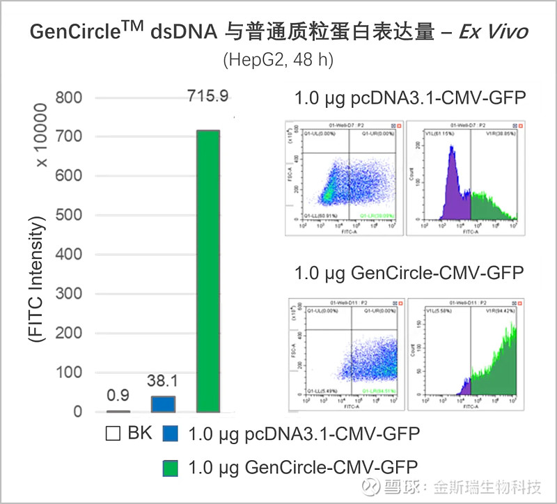 金斯瑞GenCircle dsDNA获发明专利授权！更安全高效的基因递送方案，加速GCT开发 $金斯瑞生物科技(01548)$基因与细胞疗法（GCT）作为医药领域发展迅猛的新星，科学家们也在为 ...