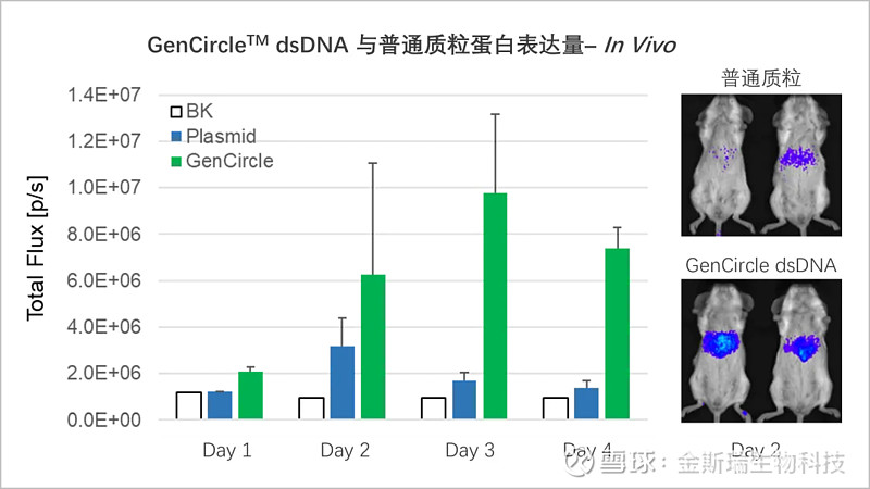 金斯瑞GenCircle dsDNA获发明专利授权！更安全高效的基因递送方案，加速GCT开发 $金斯瑞生物科技(01548)$基因与细胞疗法（GCT）作为医药领域发展迅猛的新星，科学家们也在为 ...