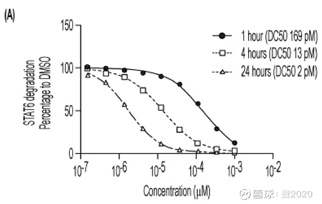 $亚盛医药-B(06855)$ 新药研发: STAT6 PROTAC &小分子抑制剂，下一个重磅炸弹？原创 Ti... - 雪球
