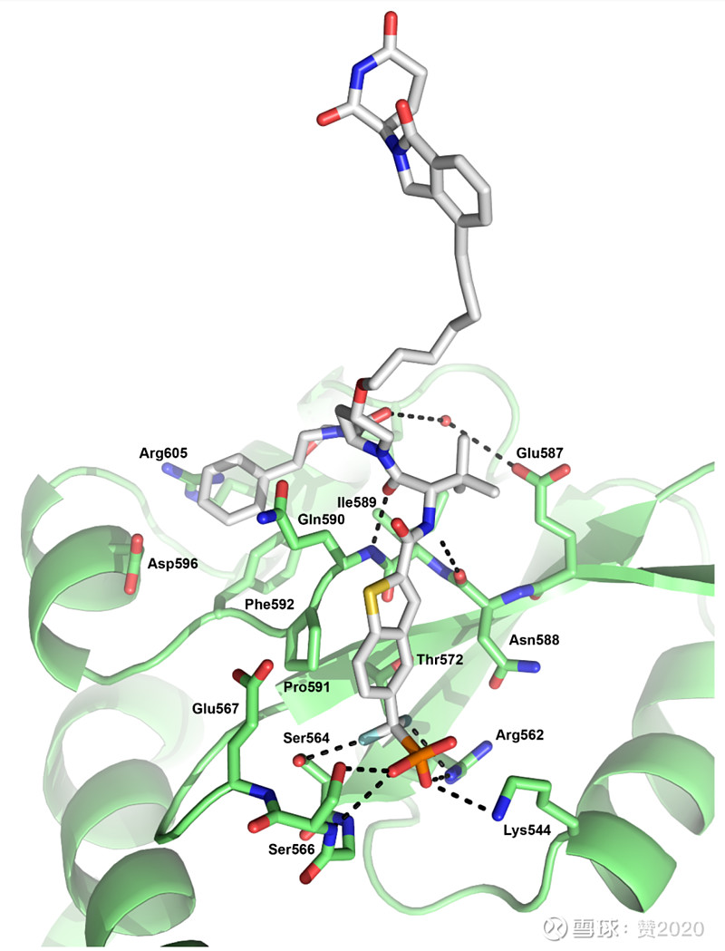 $亚盛医药-B(06855)$ 新药研发: STAT6 PROTAC &小分子抑制剂，下一个重磅炸弹？原创 Ti... - 雪球