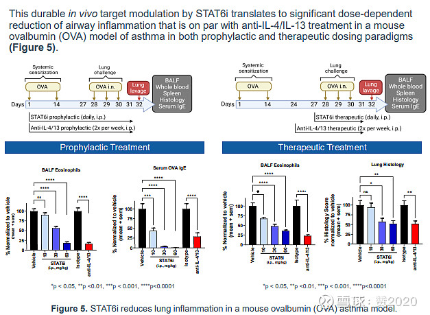 $亚盛医药-B(06855)$ 新药研发: STAT6 PROTAC &小分子抑制剂，下一个重磅炸弹？原创 Ti... - 雪球