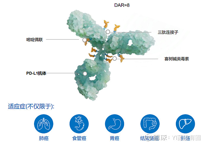 BD热潮之后，谁能接棒中国创新药的超级行情？ 今年年初以来，中国创新药板块在资本市场上演了一场波澜壮阔的价值重估。由密集的对外授权 ...