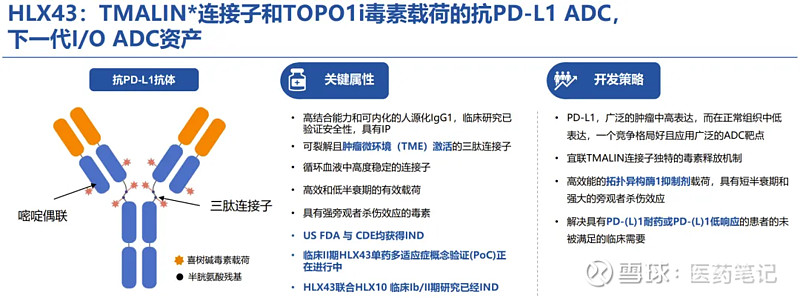 复宏汉霖：PD-L1 ADC闪耀WCLC，非鳞状NSCLC疗效展现统治力 2025年9月6-9日，国际肺癌研究协会(IASLC)主办的2025 ...