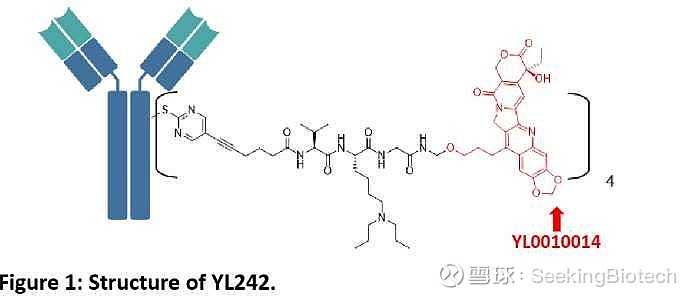 YL242宜联生物，VEGF ADC。采用其自主开发的三肽连接子TMALIN（Tumor Microenvironmen... - 雪球