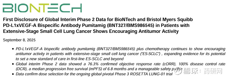 111 亿美元购入药物！BioNTech/BMS 首次披露 PD-L1xVEGF 双抗全球Ⅱ期数据 在本周举行的2025年世界肺癌大会 ...