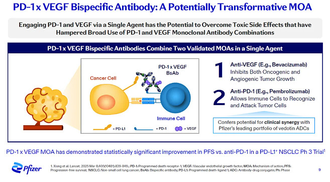 辉瑞“明牌”PD-1/VEGF双抗开发思路 $荣昌生物(09995)$ $荣昌生物(SH688331)$ 安琪 医药魔方 2025年09月16日 18:07 上海P... - 雪球