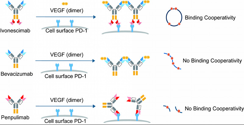 康宁杰瑞JSKN027：能否成为康方生物AK112的升级版？ $康宁杰瑞制药-B(09966)$ $康方生物(09926)$PD-(L)1和 ...
