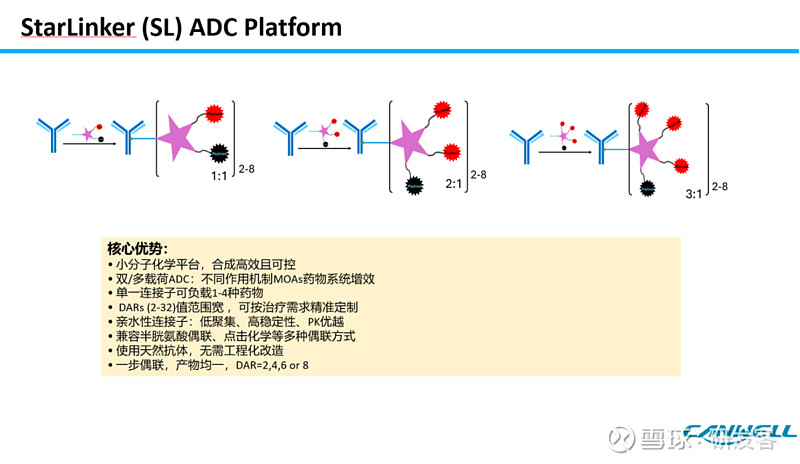 “多载荷ADC+小分子偶联”组合牌，卡位下一代肿瘤赛道 | 大湾区创新力 // • 康威生物自主研发的偶联技术平台，在双/多载荷ADC上突破了 ...