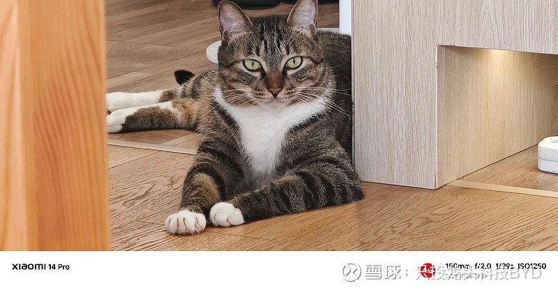 $铜陵有色(SZ000630)$ 铜陵有色 与 江西铜业 的全面对比铜陵有色与江西铜业核心对比结论如下： 核心差异总结 ... - 雪球