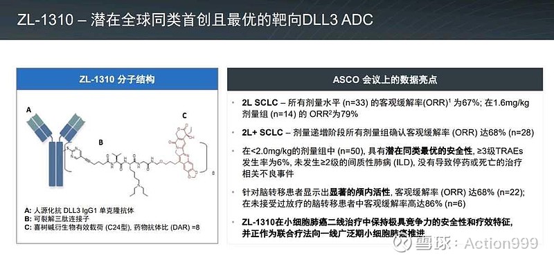 再鼎医药注册ZL-1310全球三期临床试验 再鼎医药 于2025年10月20日注册了其靶向DLL3的ADC新药ZL-1310治疗小细胞肺癌的全球三期临床试验。对再鼎... - 雪球