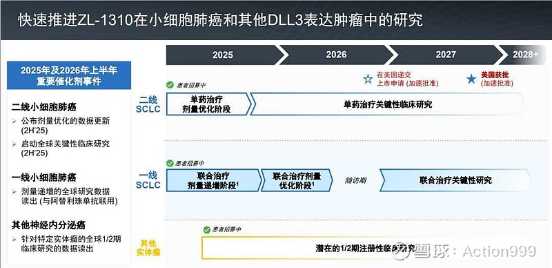 再鼎医药注册ZL-1310全球三期临床试验 再鼎医药 于2025年10月20日注册了其靶向DLL3的ADC新药ZL-1310治疗小细胞肺癌的 ...