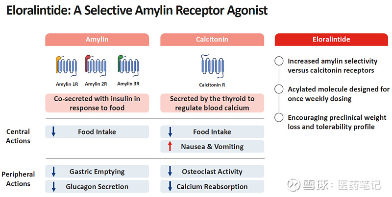 礼来：偏向性Amylin48周减重20%，即将启动三期临床 Armstrong 2025年11月6日， 礼来 公布变偏性Amylin类似物 ...