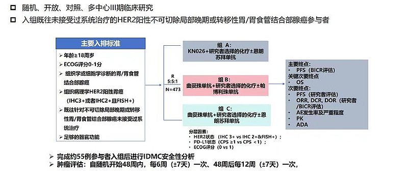 百济ZW25和康宁KN026在HER2阳性的一线胃癌国内争雄？ $康宁杰瑞制药-B(09966)$ $百济神州(06160)$11月17日 ...