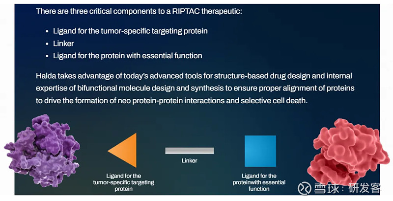 强生斥巨资30.5亿收购Halda，突破性抗癌技术RiPTAC迎来新主 强生公司刚刚宣布，将以30.5亿美元现金收购私营生物技术公司Halda ...