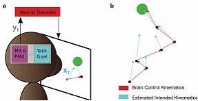 AI医疗的前沿应用——脑机接口核心价值分析 脑机接口（Brain-Computer Interface, BCI）作为连接人类大脑与外部设备的 ...