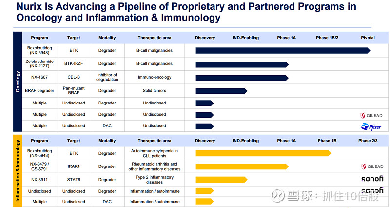 Nurix Therapeutics：BTK PROTAC临床阶段领跑者 $Nurix Therapeutics(NRIX)$ 执行摘要 ...