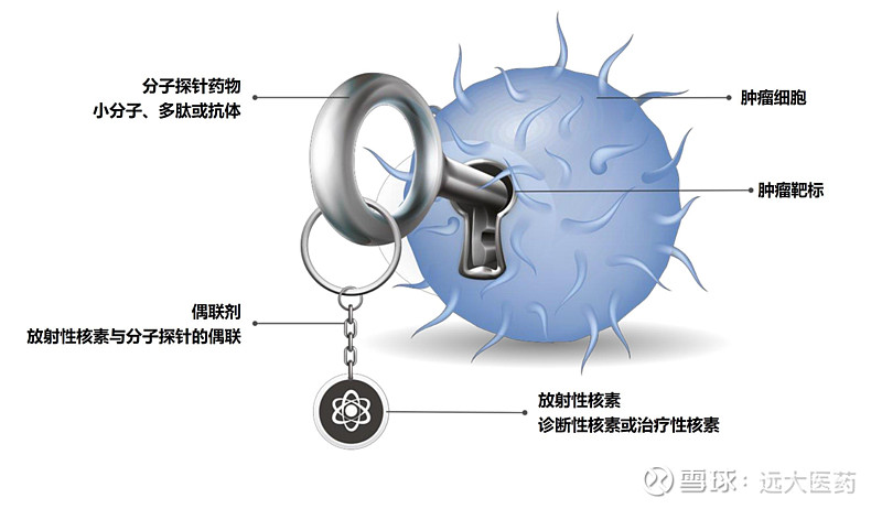 全球创新药物TLX591-Tx的全球III期临床试验第一部分达到主要目标 • TLX591-Tx为全球首创(first-in-class)镥 ...