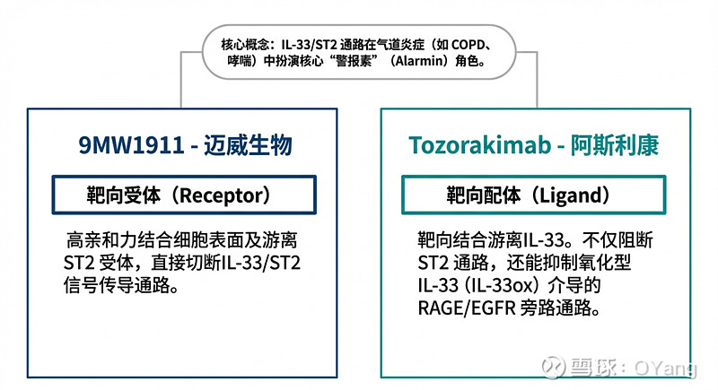 迈威生物9MW1911与阿斯利康Tozorakimab对比：中重度COPD或迎来全新一线疗法 今天对于中重度慢阻肺患者/COPD社区或许是一个 ...